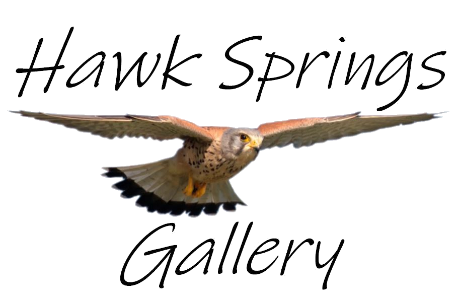Hawk Springs Gallery